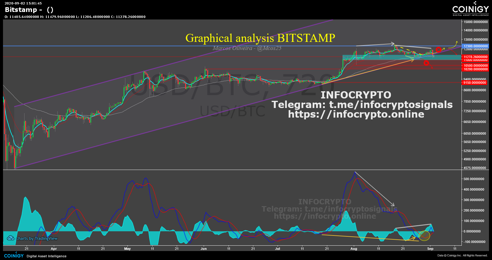 Bitstamp / Chart - Published on Coinigy.com on September 2nd, 2020 at 3 ...