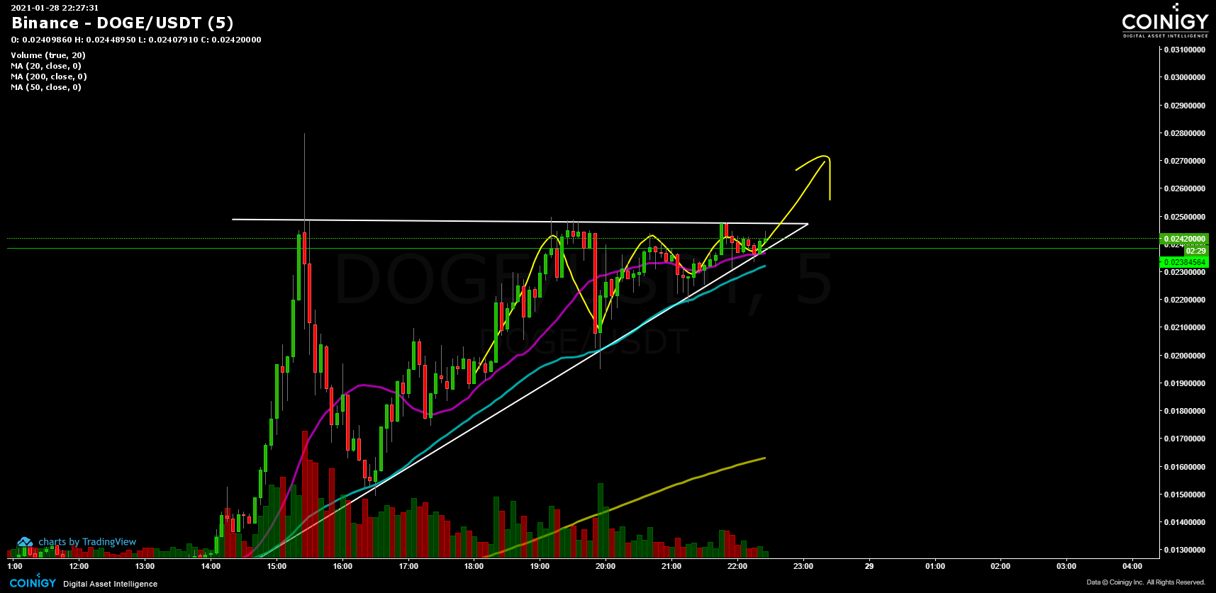 Binance DOGE USDT Chart Published On Coinigy On January 28th